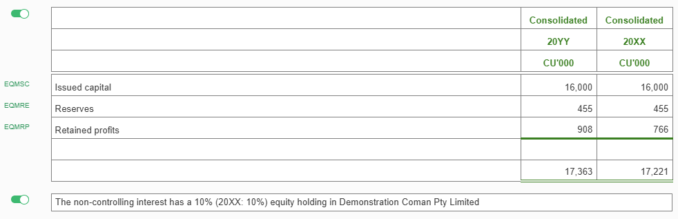 Equity - non-controlling interest