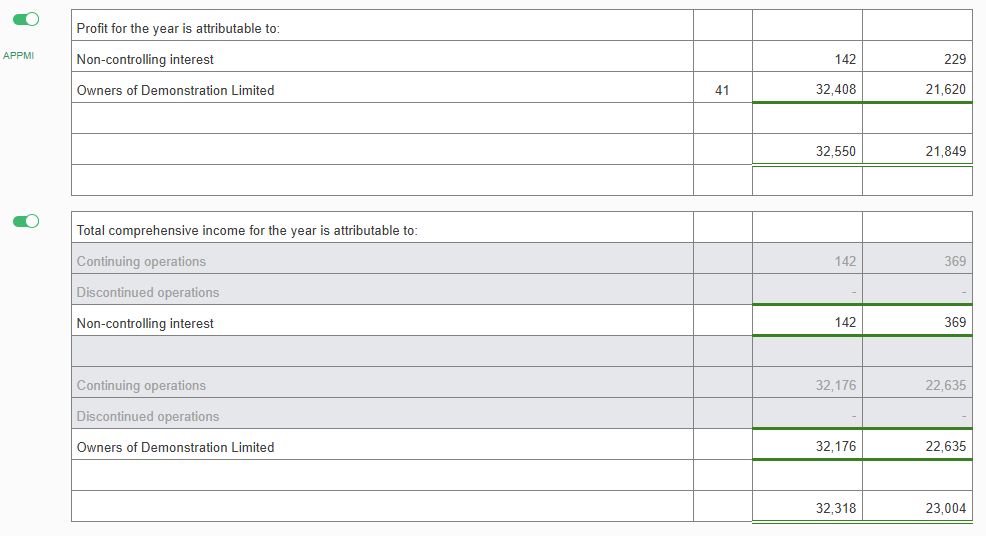 Equity - non-controlling interest