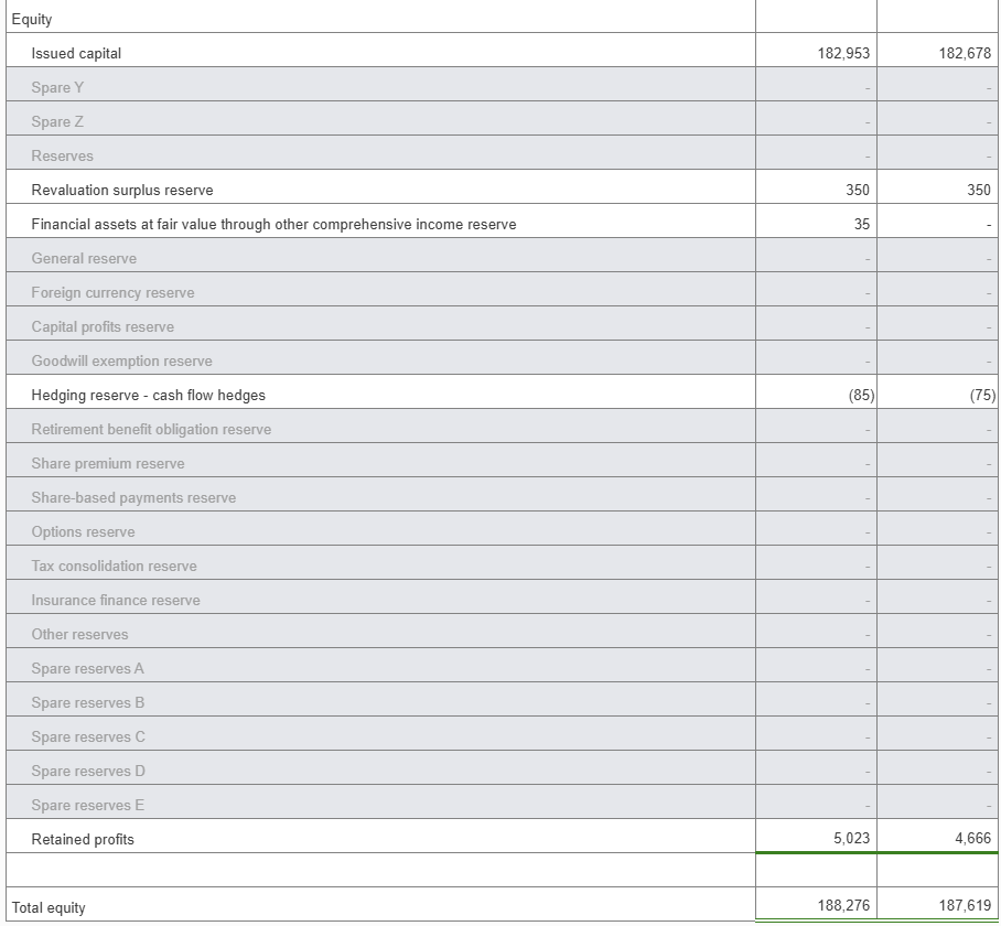 Parent entity information
